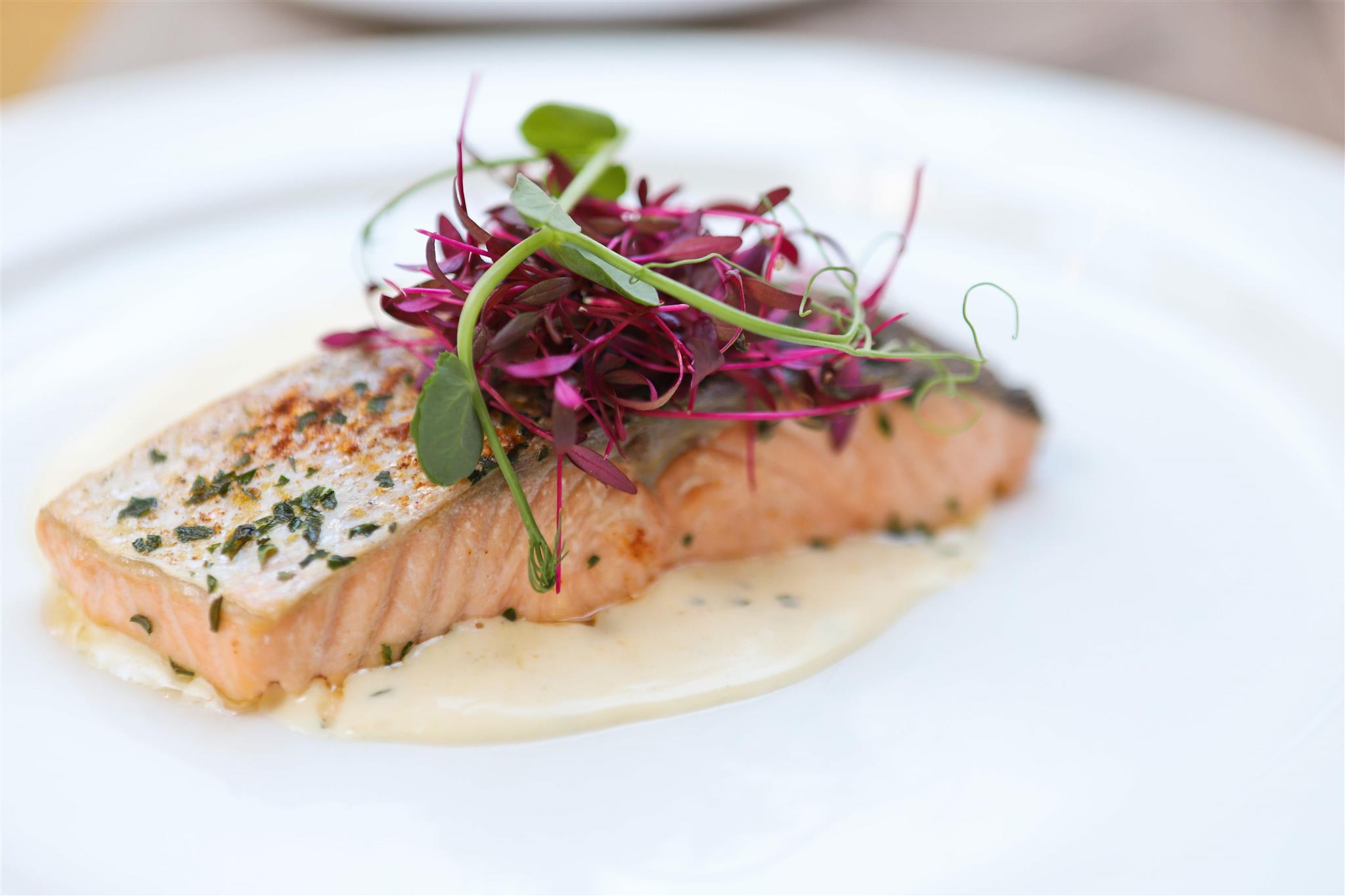 Bournemouth accommodation | Wedding reception venues | Wedding hall